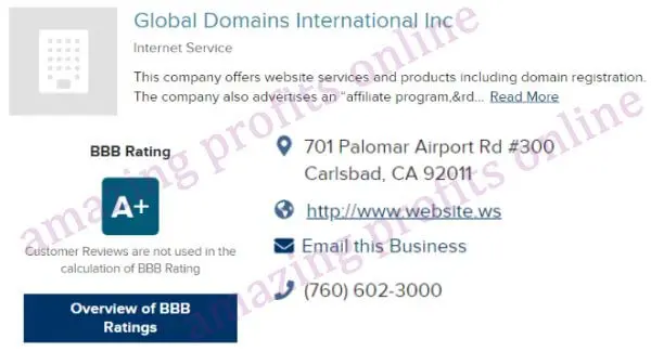 Global Domains International Review: Can You Really Make Money?